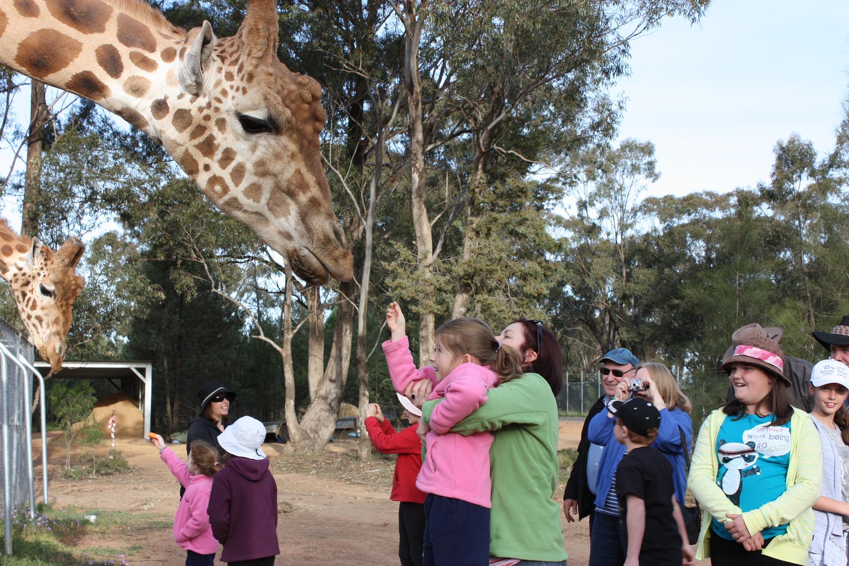 4 Incredible Wildlife Parks You Should Visit in Sydney – the Red Phone ...